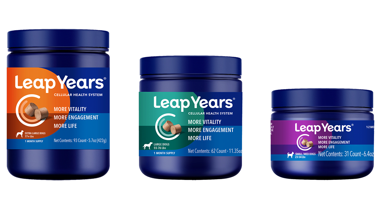 Dog Aging Research | Veterinarian Formulated | Leap Years
