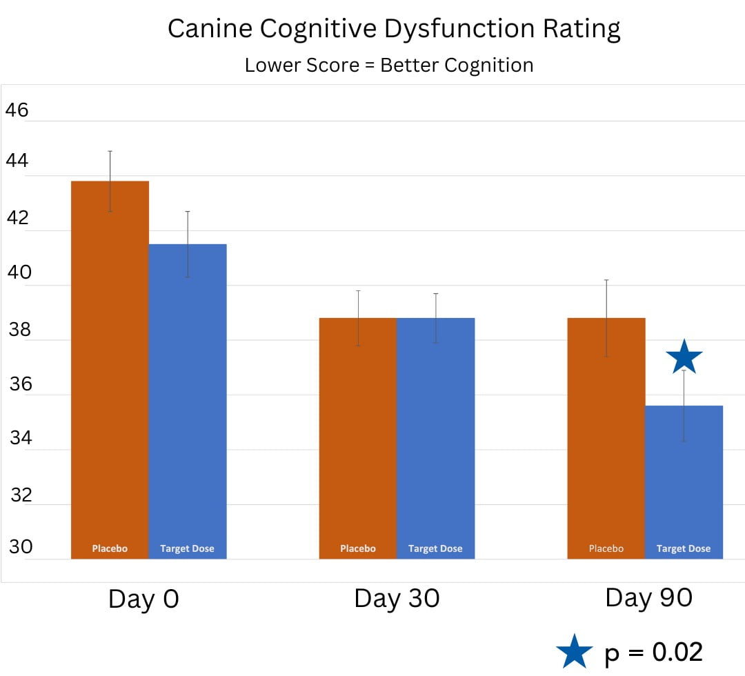 Clinically Proven Supplement Healthy Aging For Dogs